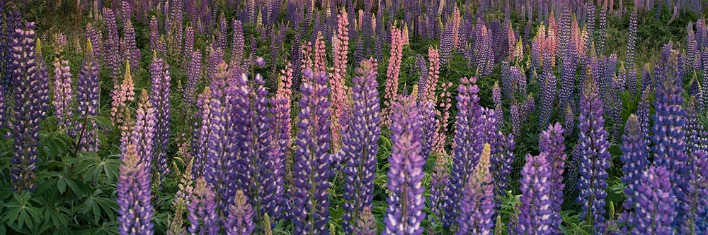 By the Numbers - CBHC